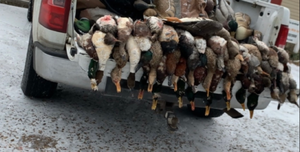 Guided Duck Hunts on Reelfoot Lake - Quake Lake Outfitters